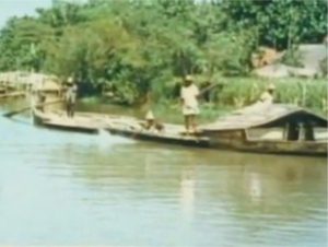 Java Harvest Miracle | 60 Years Later…